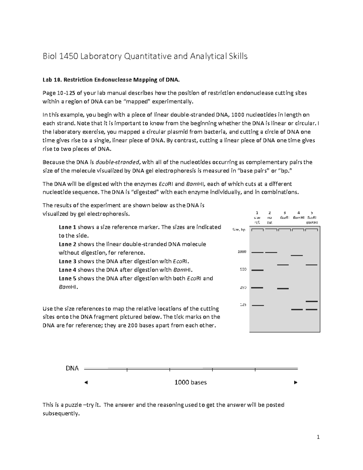 Lab 10 Quantitative Skills with solutions - Warning: TT: undefined function: 32 Warning: TT ...