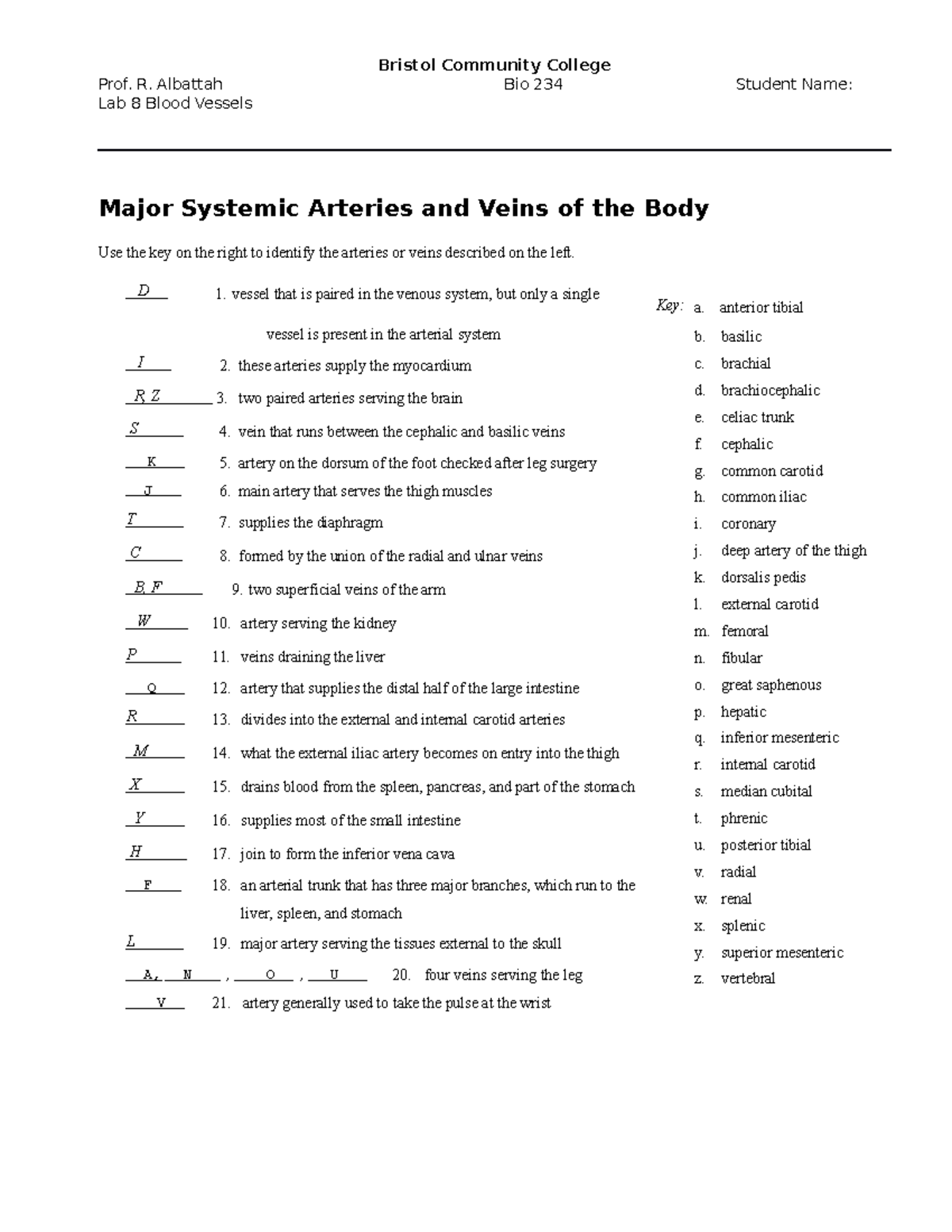 Assignment 8 Blood Vessels - Bristol Community College Prof. R ...
