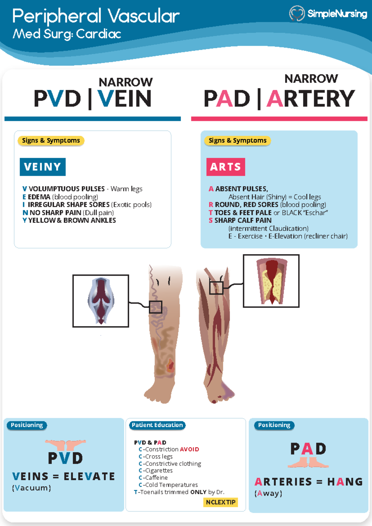7 Peripheral Vascular - PVD PAD - Peripheral Vascular Med Surg: Cardiac Signs & Symptoms V - Studocu