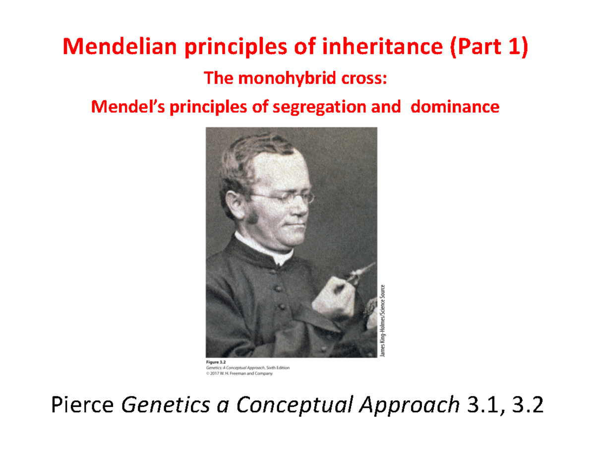 3 Mendel part 1 copy - Lecture notes 3 - Mendelian principles of ...