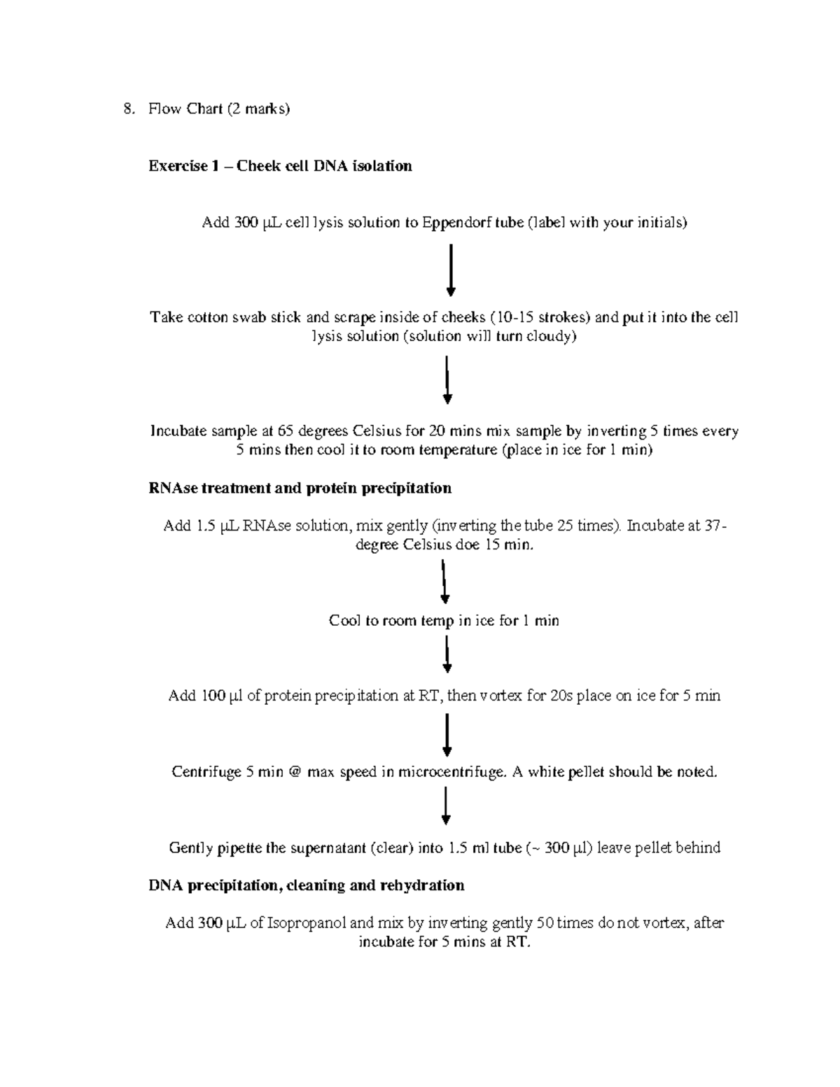 Flow chart 3 - Flow Chart (2 marks) Exercise 1 – Cheek cell DNA ...