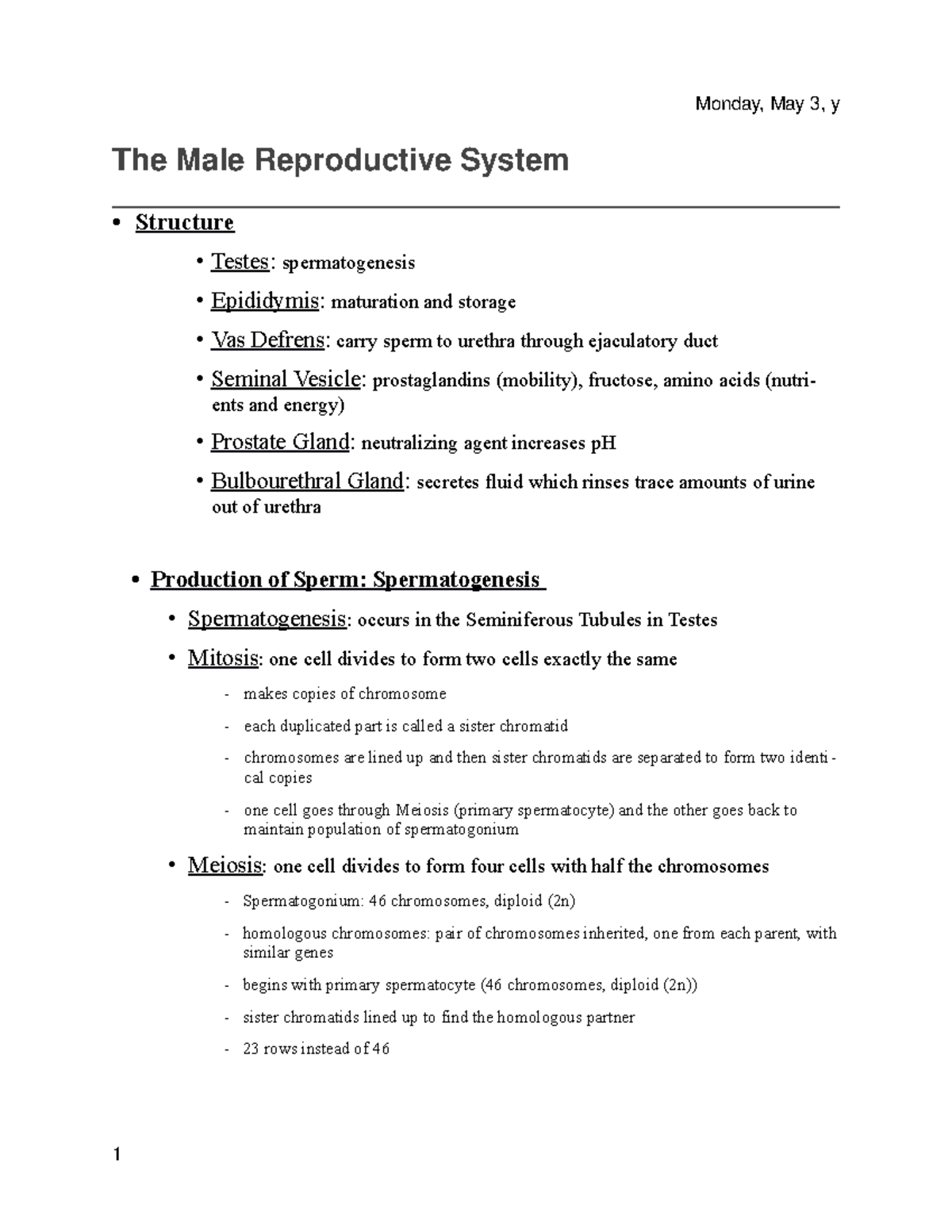 Male Reproductive System Notes - Monday, February 17, y The Male ...