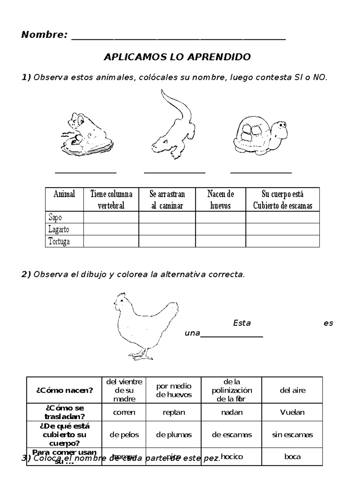 Los-Animales-y-su-Clasificacion-para-Segundo-de-Primaria - Nombre ...