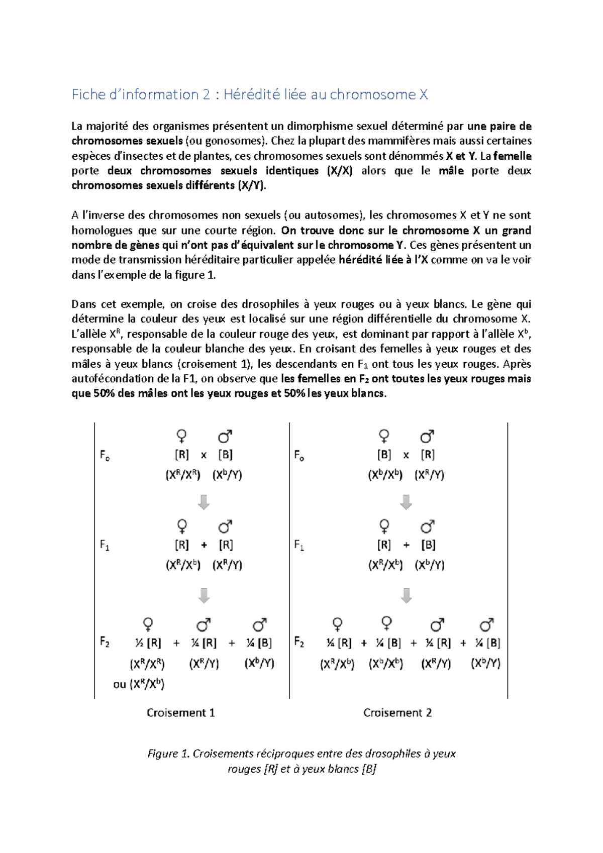 Fiche dinformation 2 - Résumé Génétique formelle - Fiche d’information ...