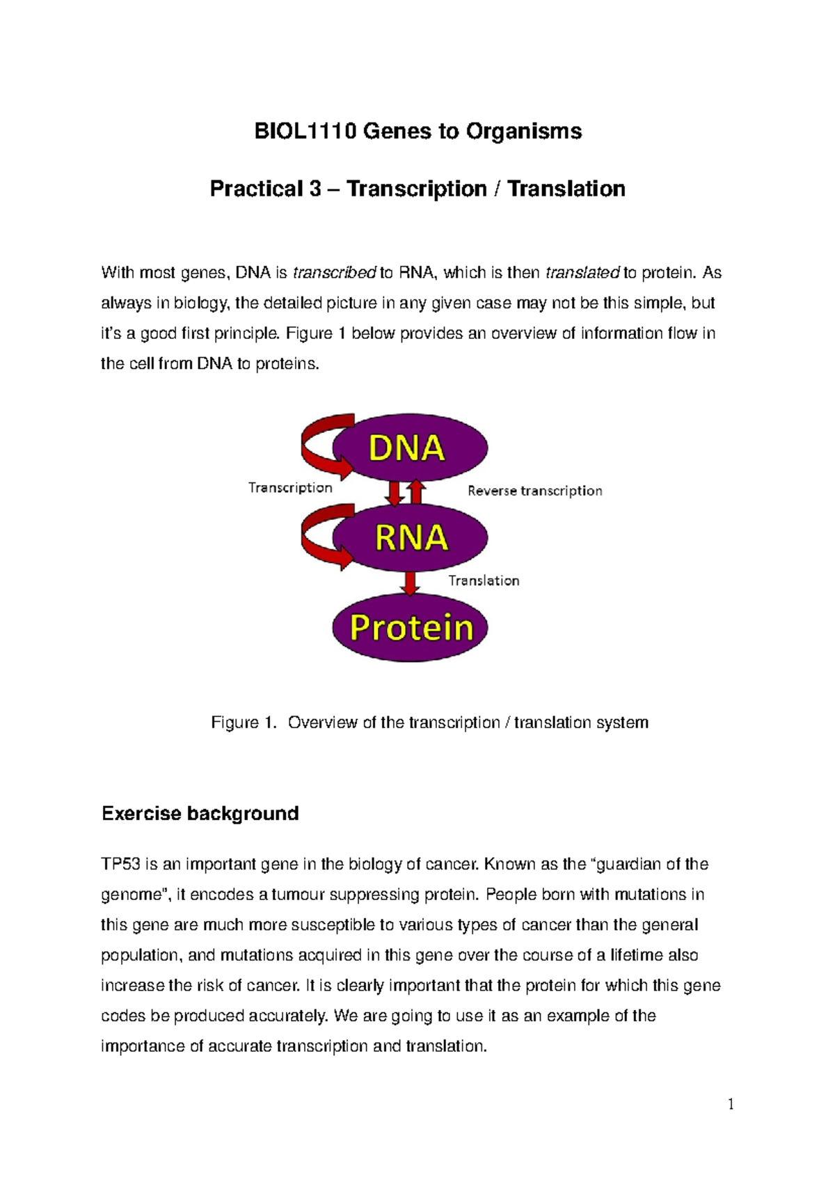 Practical 3 - Transcription Translation 2021 worksheet - BIOL1110 Genes ...