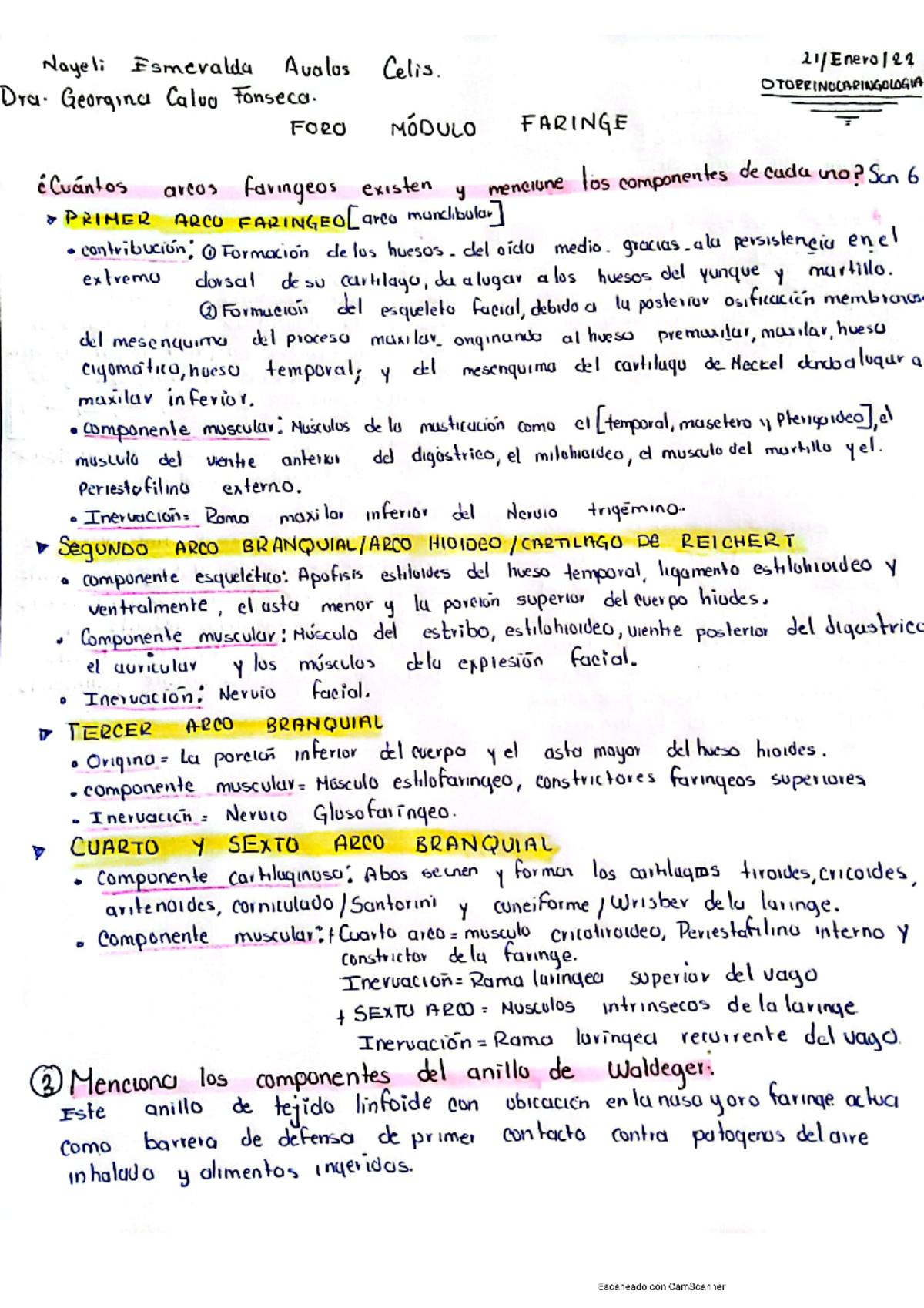 Nayeli Avalos AG2010 22 FORO Faringe - Otorrino - Studocu