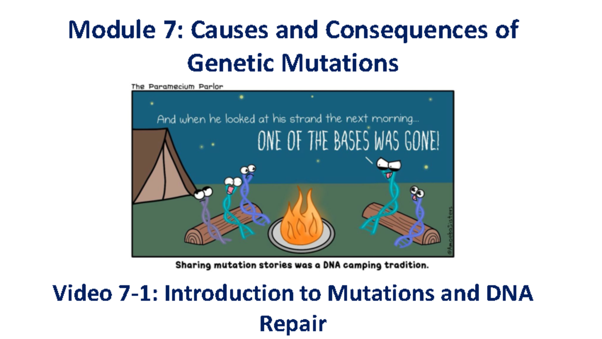 Mod 7 slides - Professor Ellis Fall 2021 - Module 7: Causes and ...