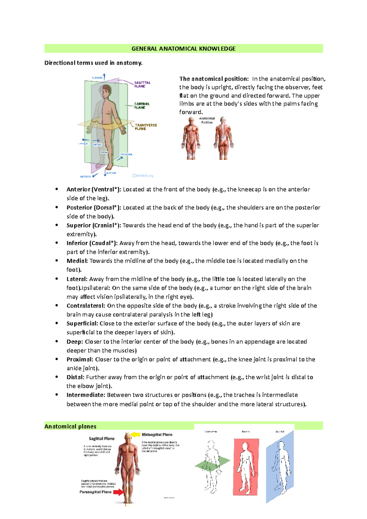 General antomical knowledge ANHB1101 - GENERAL ANATOMICAL KNOWLEDGE ...