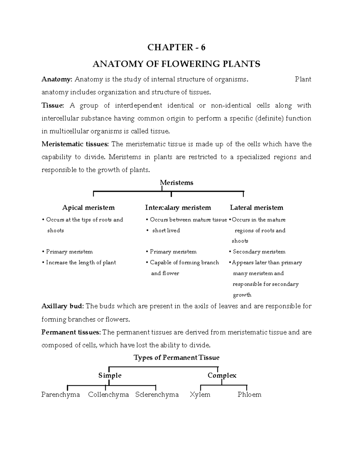Chap 11 - A general study of plant anatomy - CHAPTER - 6 ANATOMY OF ...