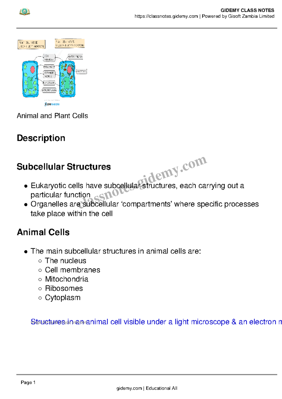 Animal and Plant Cells - Animal and Plant Cells Description Subcellular ...