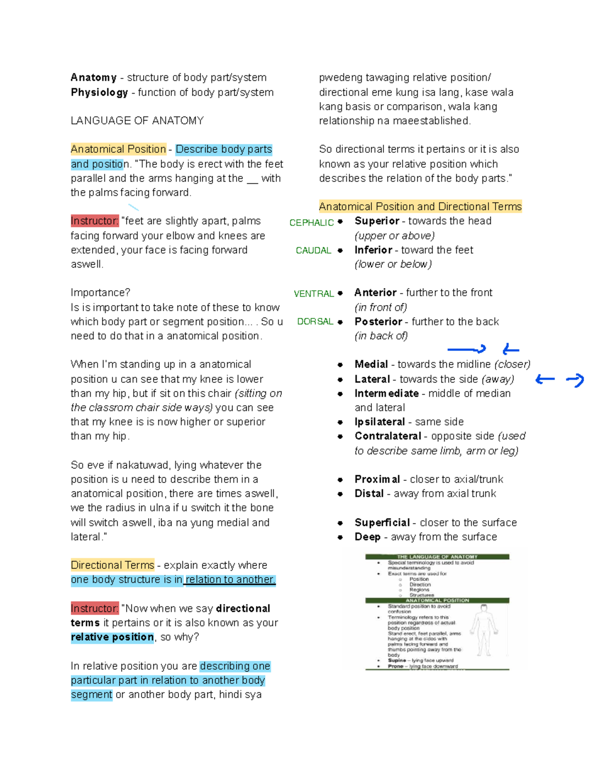 Anaphy Anatomical Position and Directional Terms 1 - Anatomy ...