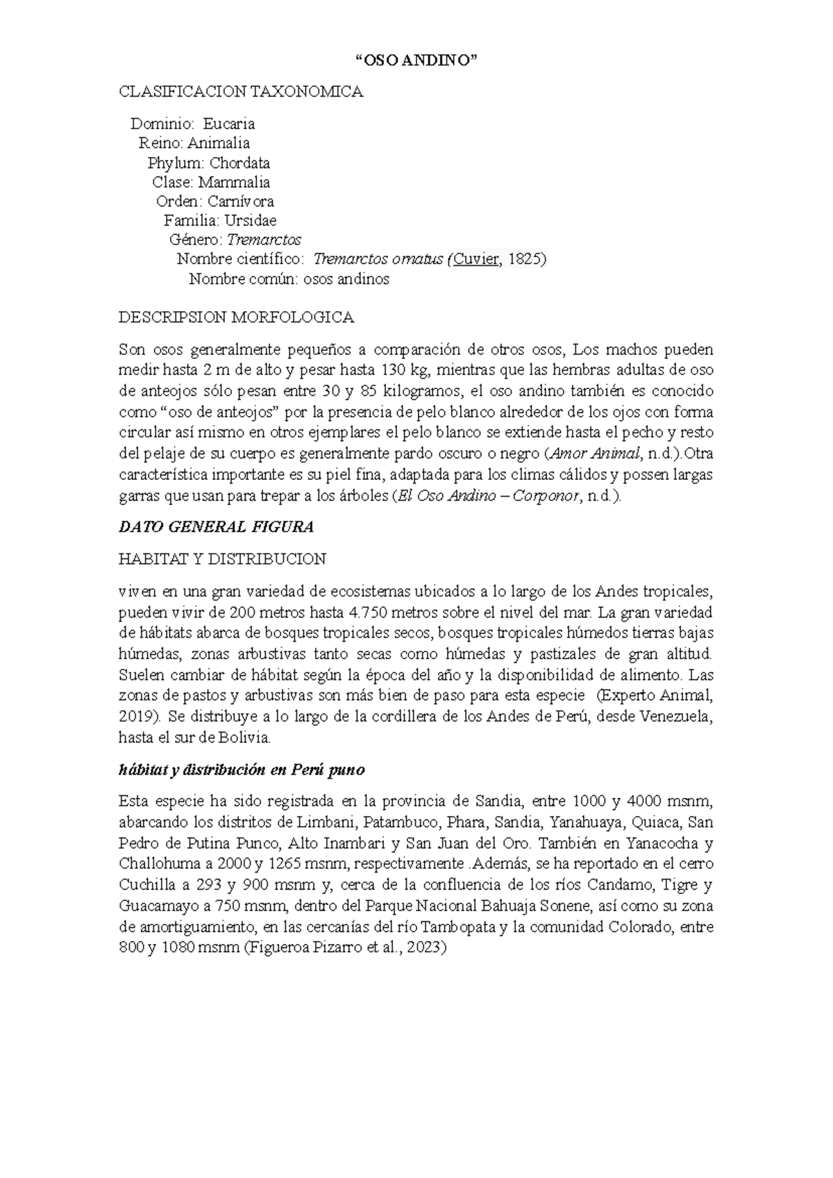 Datos DEL OSO Andino - “OSO ANDINO” CLASIFICACION TAXONOMICA Dominio ...
