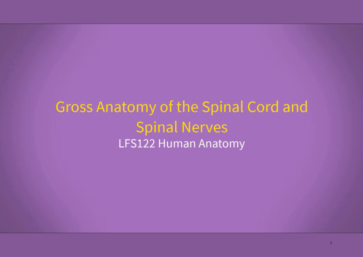 Week 4 Slidesss - Module 2B part 2 (of 3) Gross Anatomy of the Spinal ...