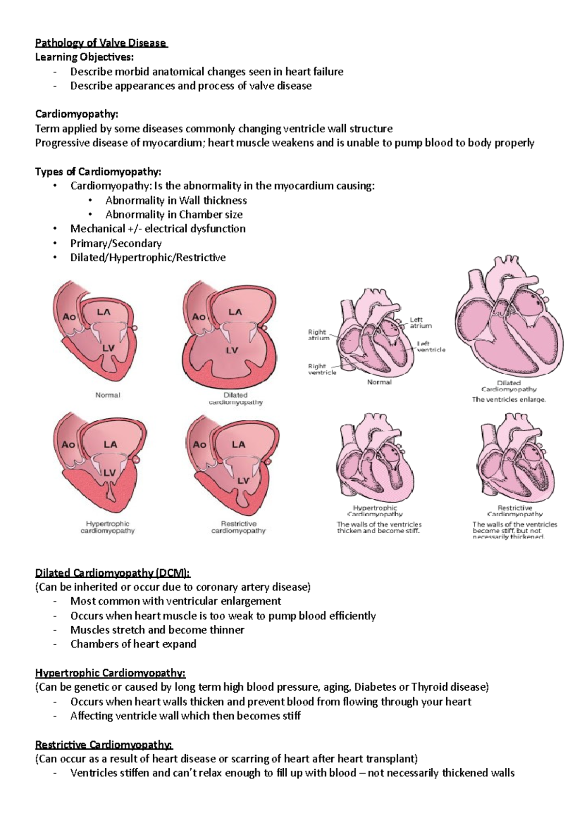 Pathology of Valve Disease - Pathology of Valve Disease Learning ...
