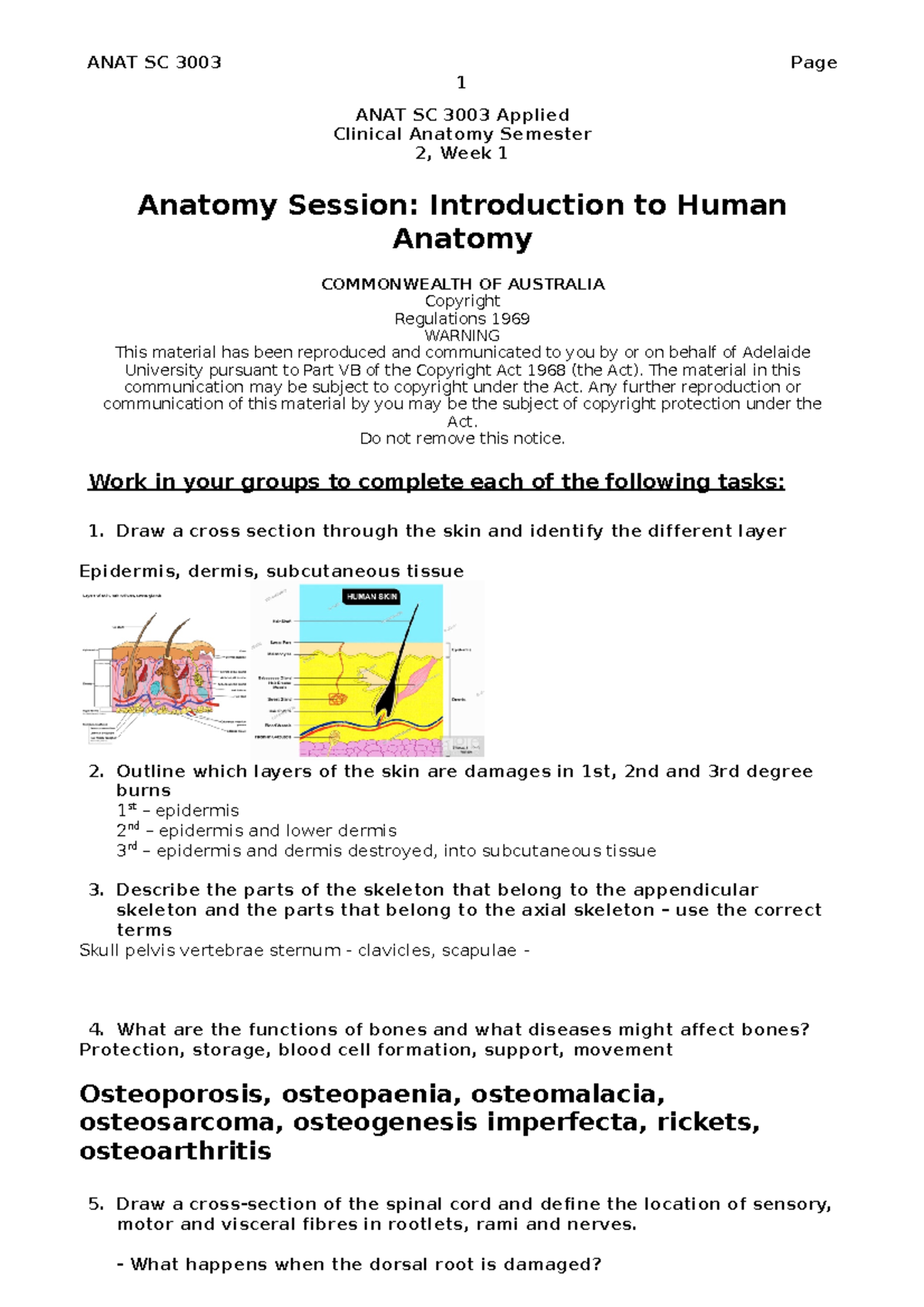 Week 1 DRY LAB - Scenarios - ANAT SC 3003 Page 1 ANAT SC 3003 Applied ...
