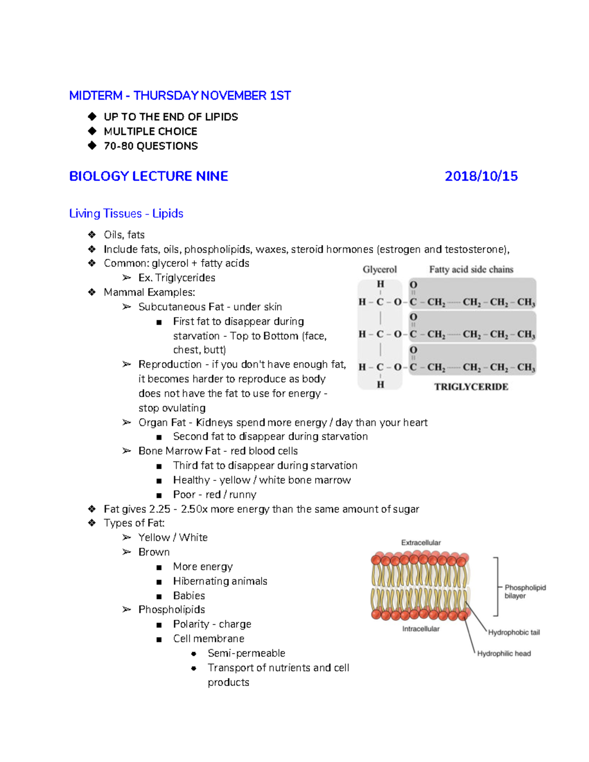 Biology lecture notes - MIDTERM - THURSDAY NOVEMBER 1ST UP TO THE END ...