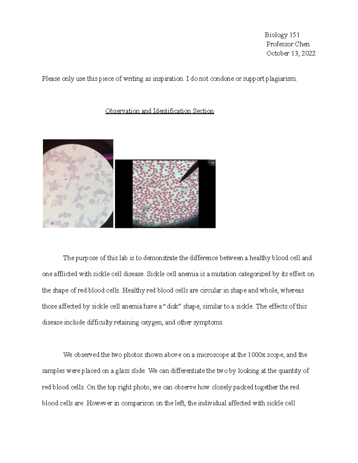 Bio 151 Cell Tissue Report - Biology 151 Professor Chen October 13 ...