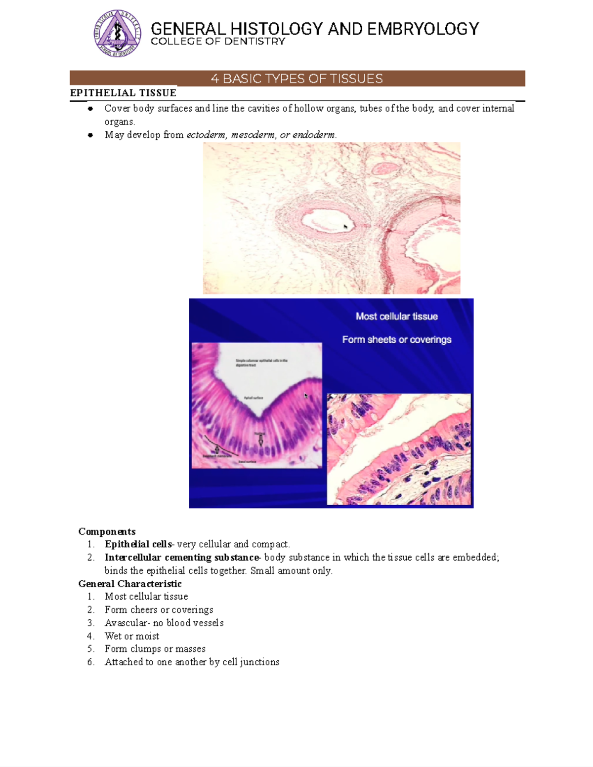 General Histology: 4 Basic Types of Tissues - COLLEGE OF DENTISTRY 4 ...