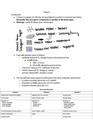 Body Organization and Terminology Worksheet Answers - BIOL 2401 - Studocu