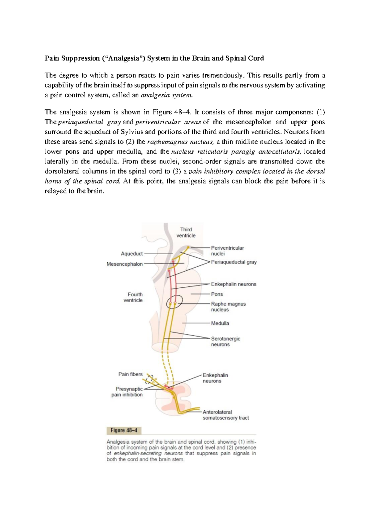 Pain Suppression - mooooooooo - Pain Suppression (“Analgesia”) System ...