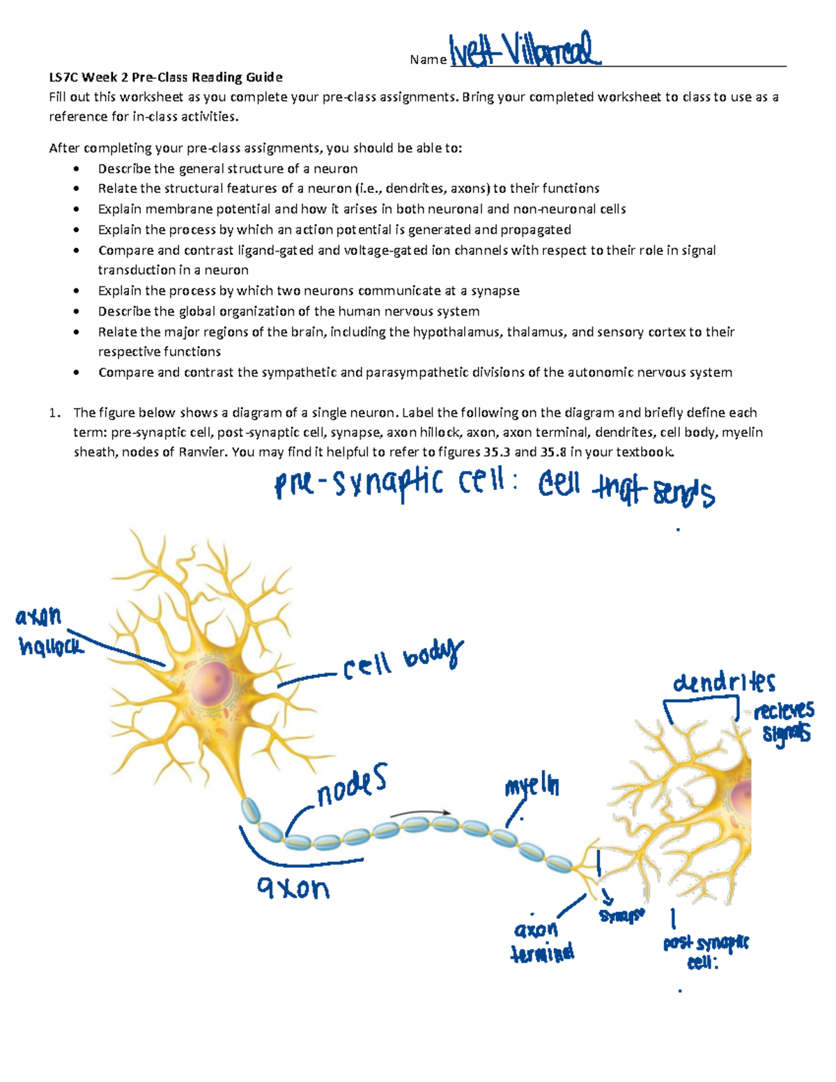 LS7C Week 2 Pre-Class Worksheet - Name ...