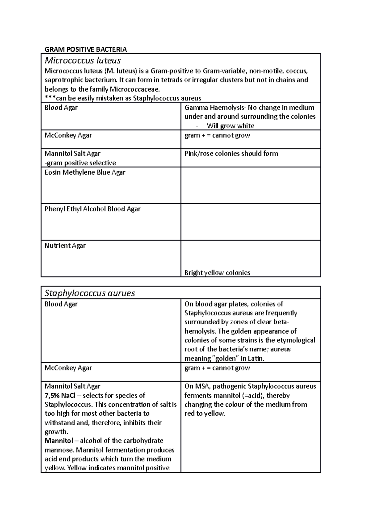 GRAM Positive Bacteria - GRAM POSITIVE BACTERIA Micrococcus luteus ...