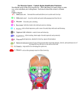 A2-Blood Case Study - BIOL2402 NAME: Jay’Lon Carroll Assignment 2 ...