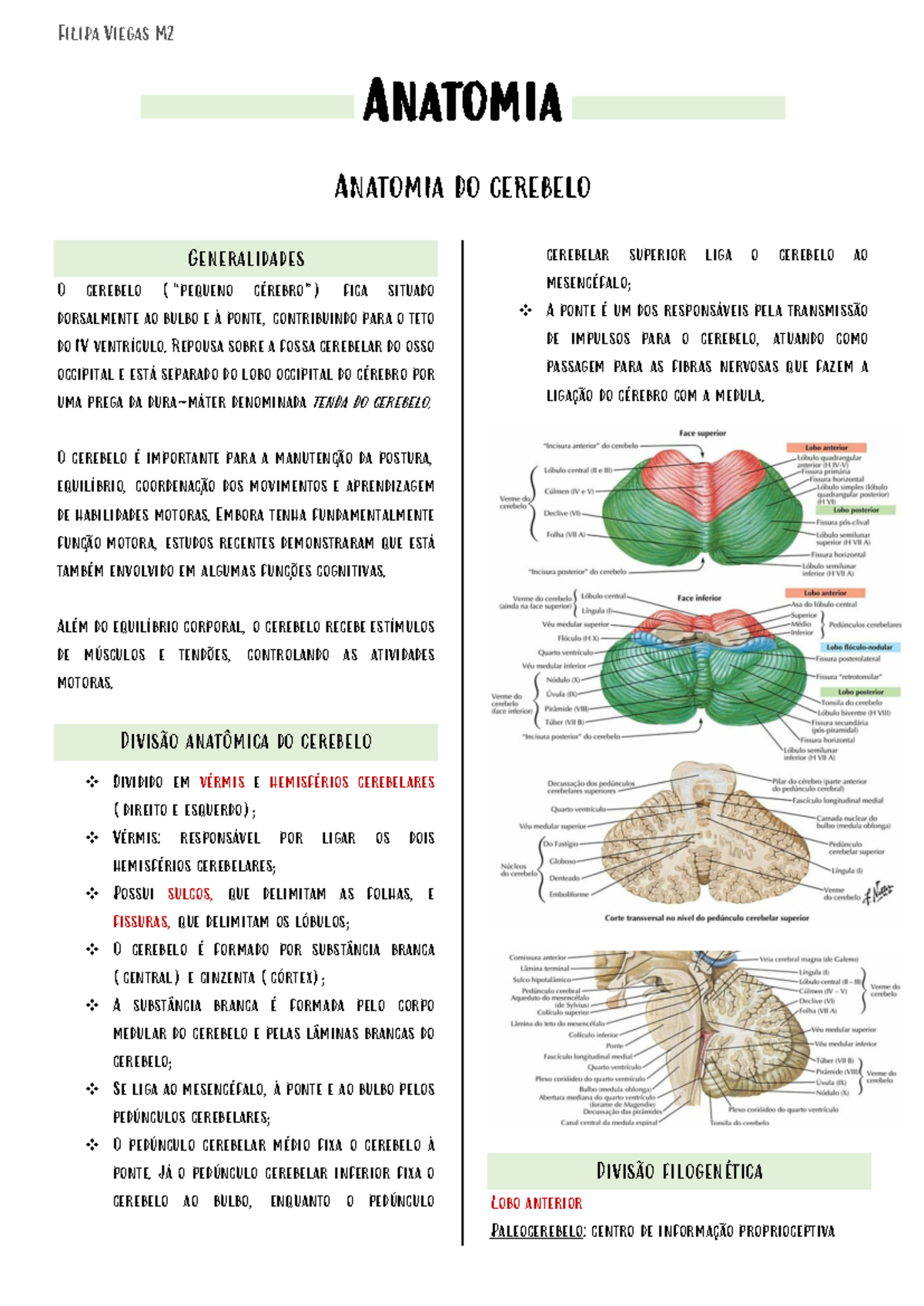 08. Anatomia DO Cerebelo - Filipa Viegas M Anatomia Anatomia do cerebelo Generalidades O ...