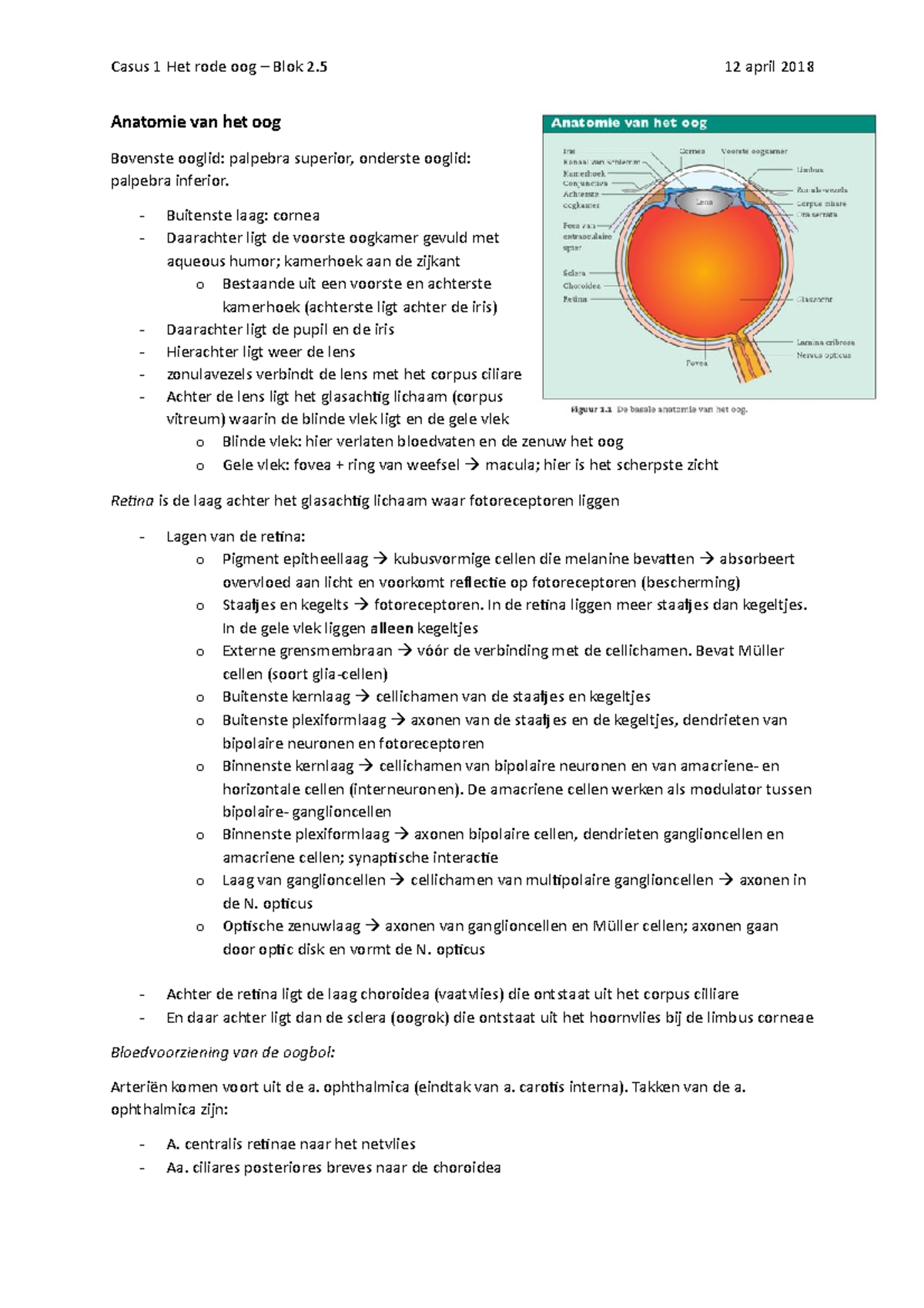 Casus 1 het rode oog - Casus 1 Het rode oog – Blok 2 12 april 2018 ...