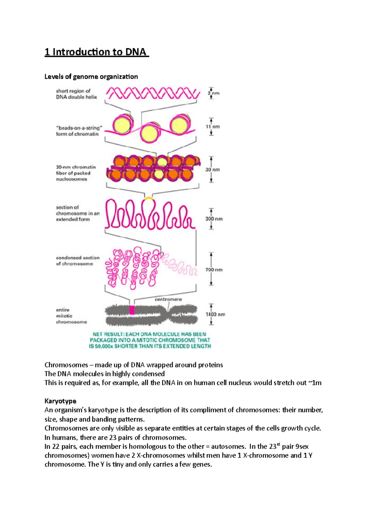 1 Introduction to DNA - Lecture notes 1 - 1 Introduction to DNA Levels ...