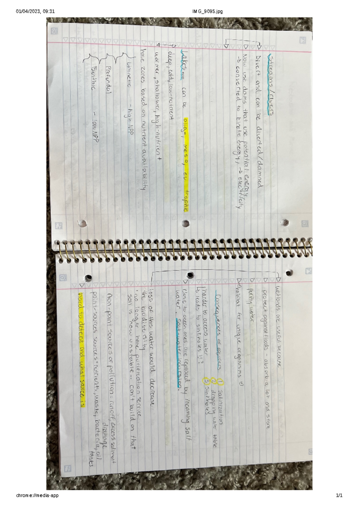 Waterresources - notes on lakes, streams , and rivers - SCIE 1107 - 01 ...