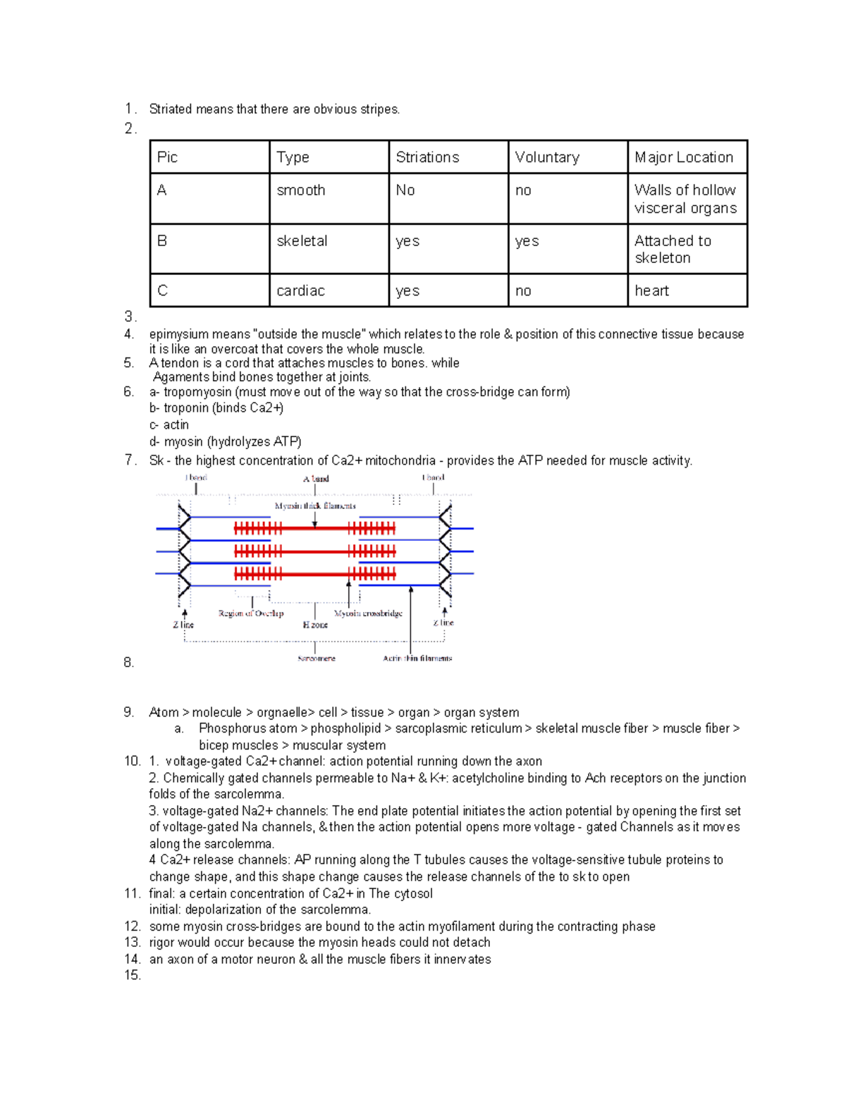 Untitled document - 1. Striated means that there are obvious stripes. 2 ...
