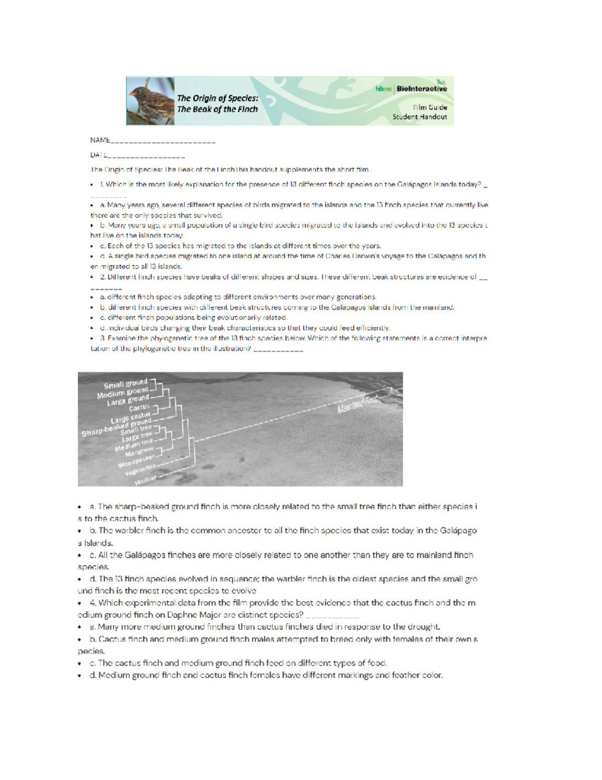 Beak of Finch Word Doc - hhmi BioInteractive The Origin of Species: The ...