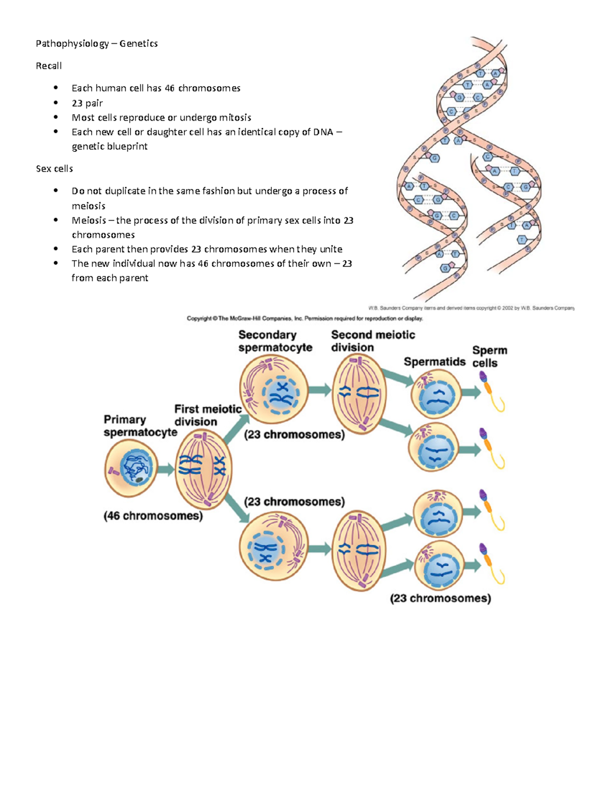Patho Notes week 4 - Pathophysiology – Genetics Recall Each human cell ...