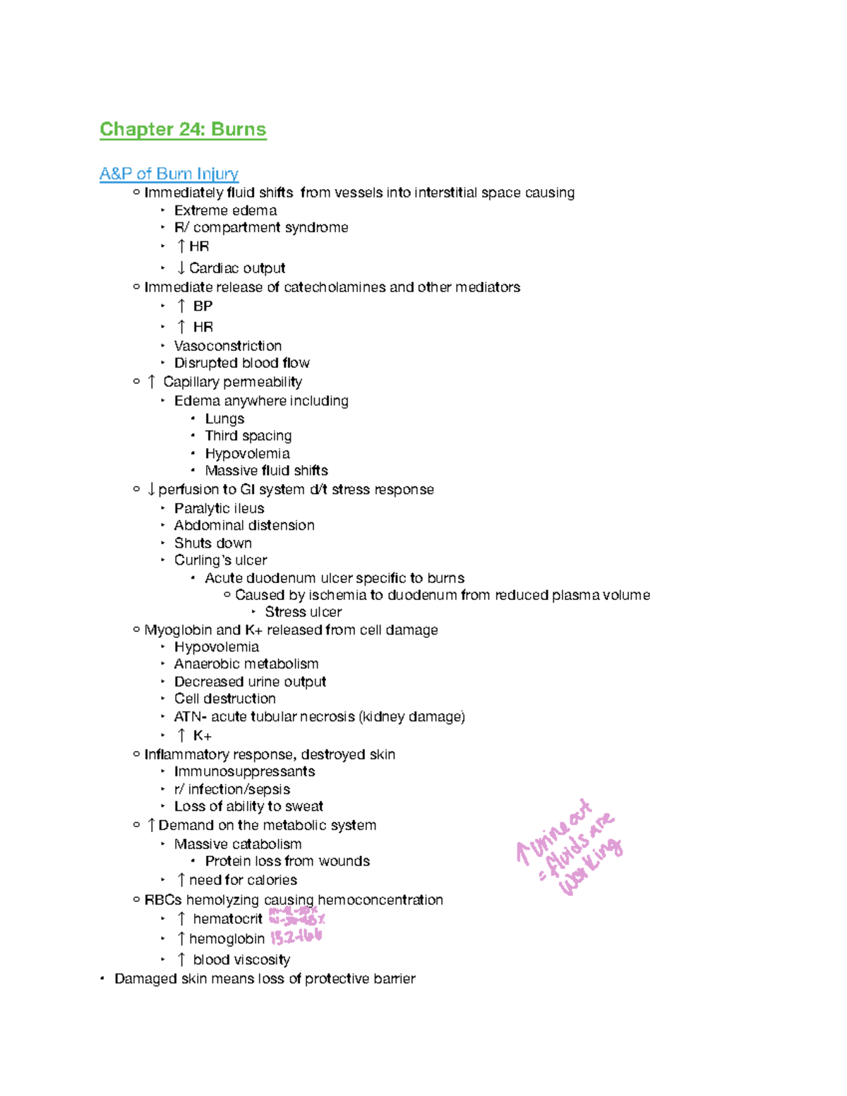 Burns - my own person typed out notes from lecture and the PowerPoints ...