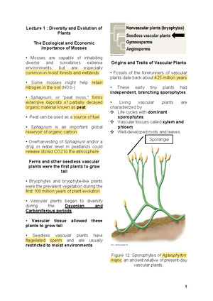 Lecture 1 - Diversity and Evolution of Plants (Module A) - Lesson 1 ...