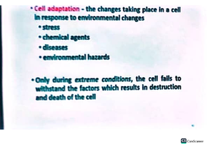 Idebe P-3-1 112410 - Physics - PHYSICS – FORM 3 CLASSICAL NOTES – 2020 ...