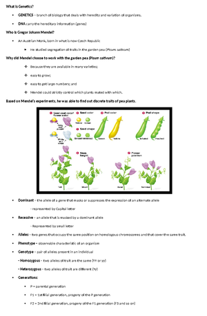 Pdf - ICT Strand - Studocu