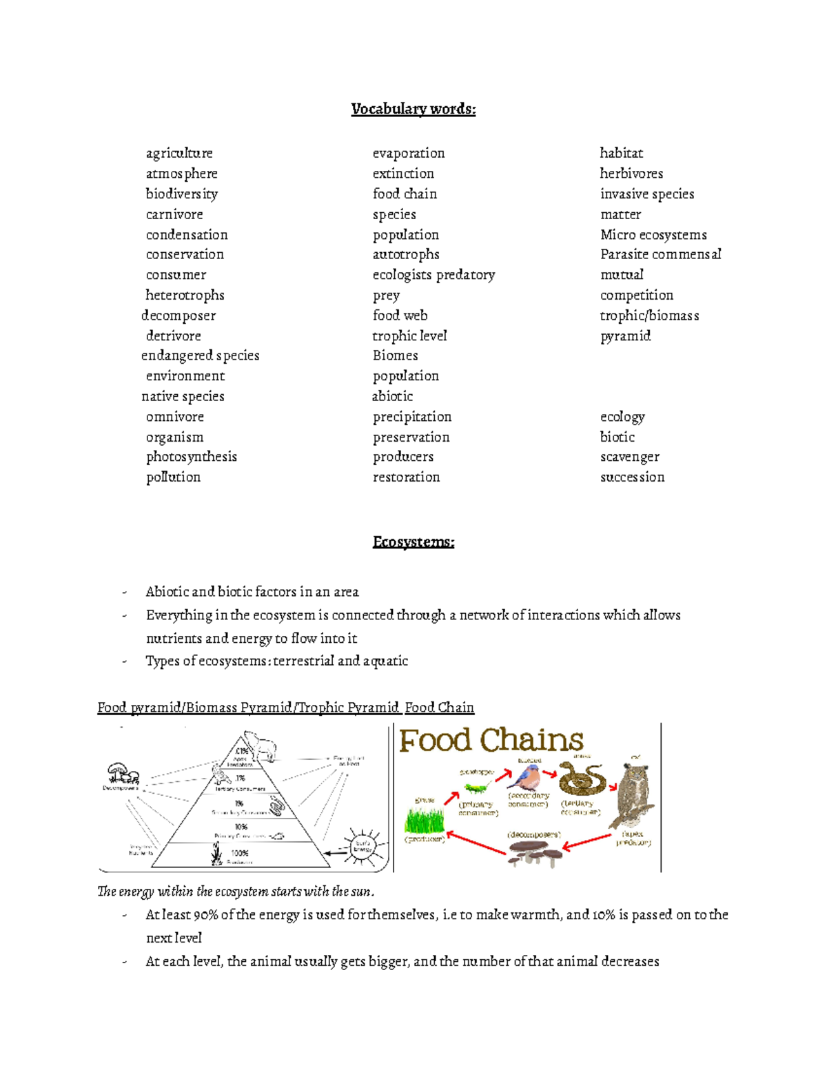 Ecosystems Test Study Sheet - Science G7 - Vocabulary words ...