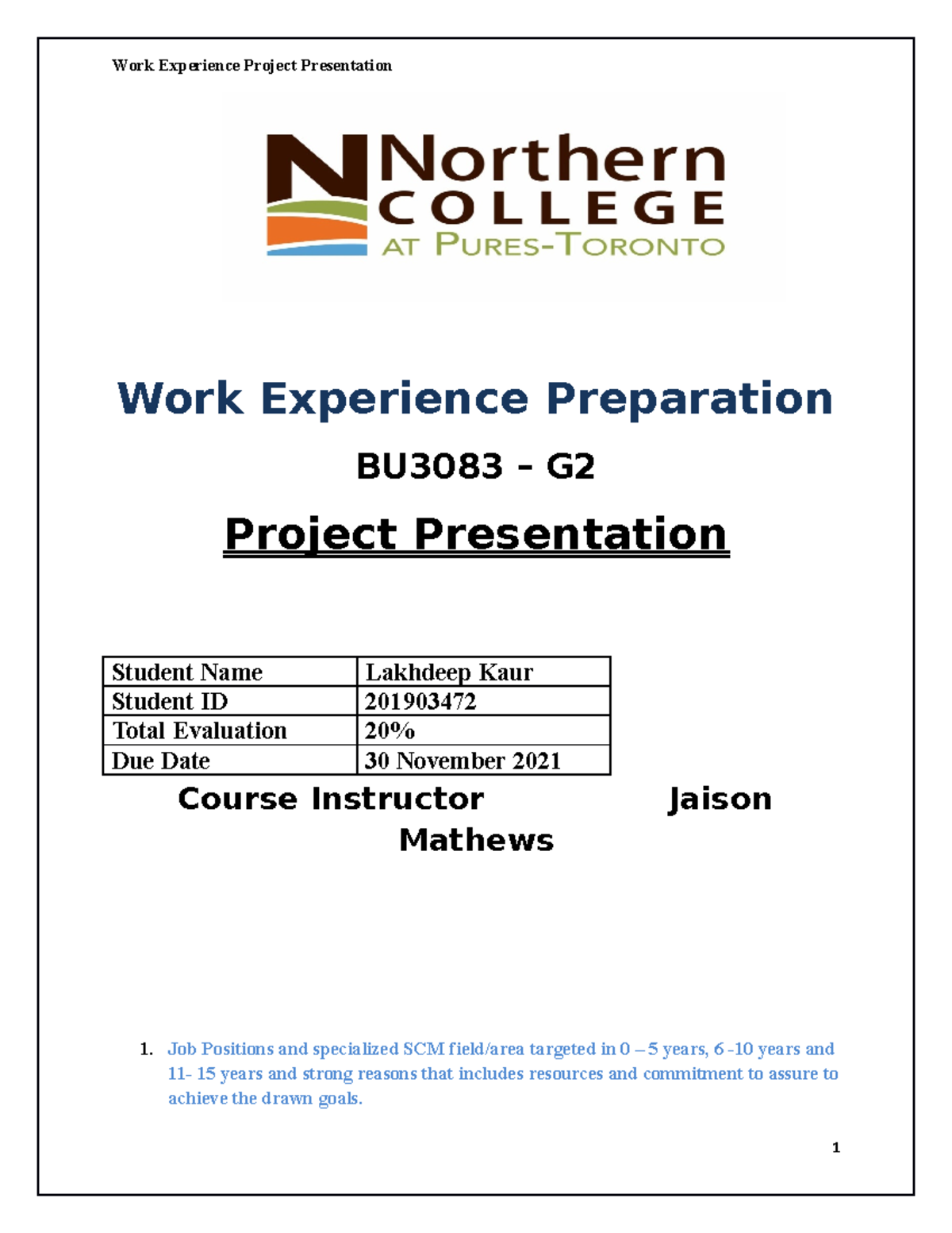 Work Experience Project presentation - Work Experience Preparation ...