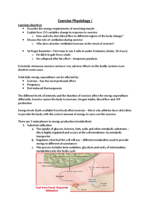 Week 6 Summary Poster for muscle contraction - Neuromuscular ...