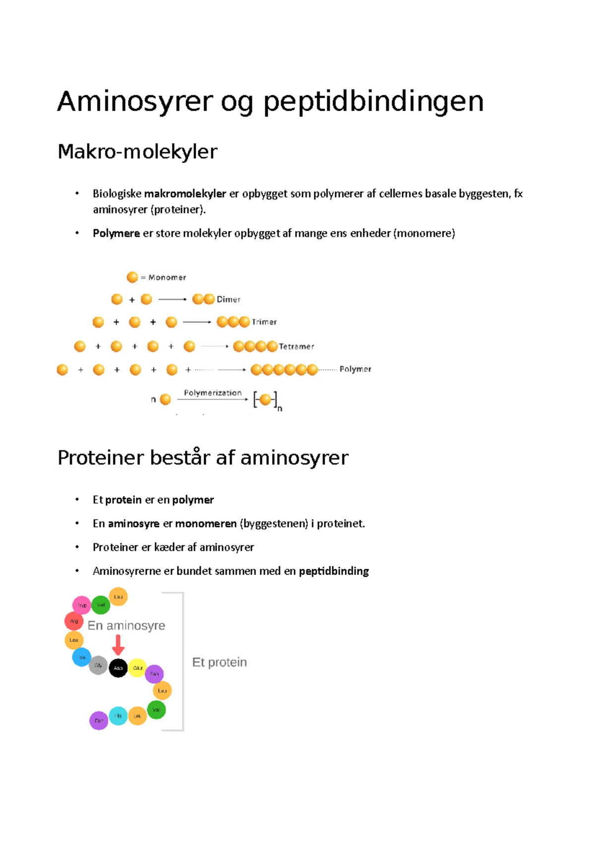 Aminosyrer og peptidbindingen - Aminosyrer og peptidbindingen Makro-molekyler • Biologiske - Studocu