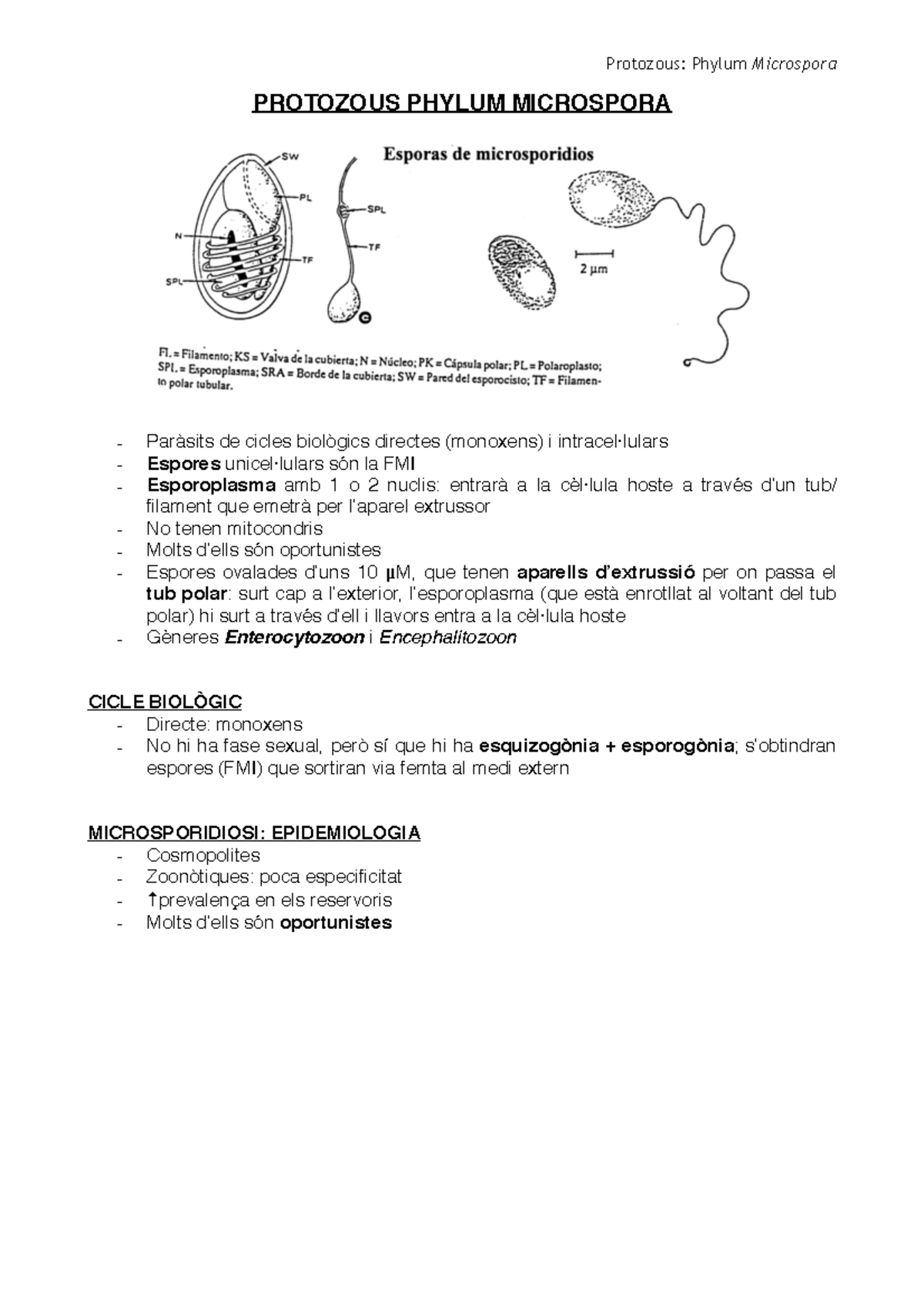 T07 Protozous, phylum Microspora - Protozous: Phylum Microspora ...