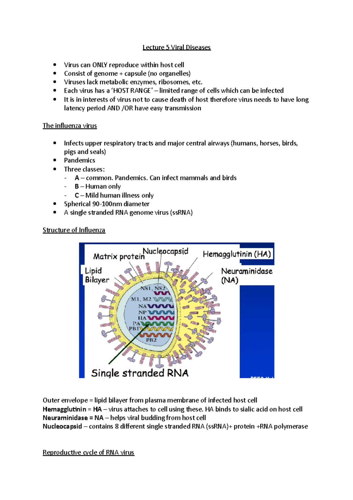 Lecture 5 Viral Diseases - Lecture 5 Viral Diseases Virus can ONLY ...