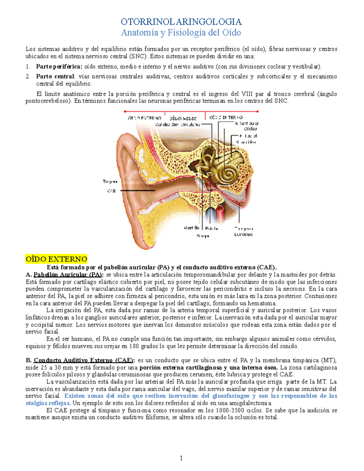 20 ORL Carpeta otorrino original.doc · versión 1 - OTORRINOLARINGOLOGIA ...
