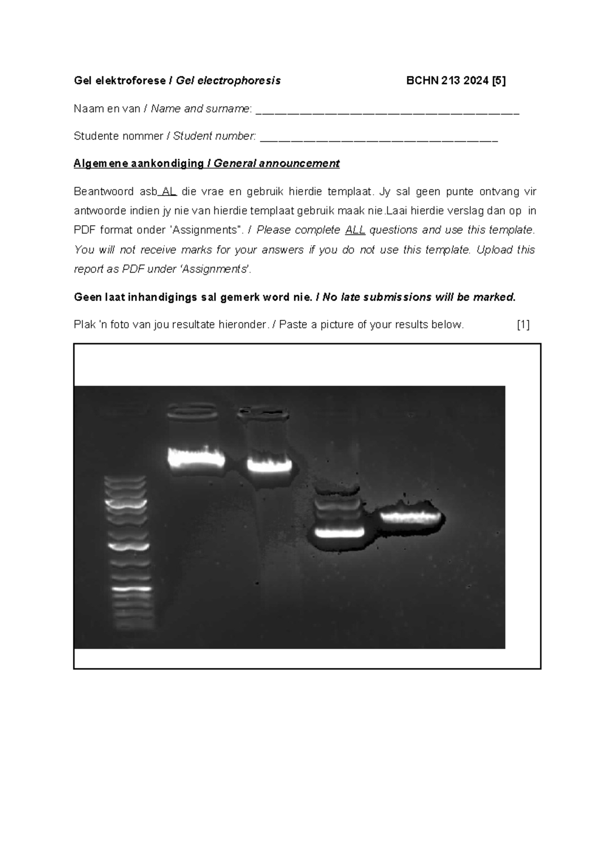 Gel electrophoresis assignment 2024 Part 2 - Gel elektroforese / Gel ...