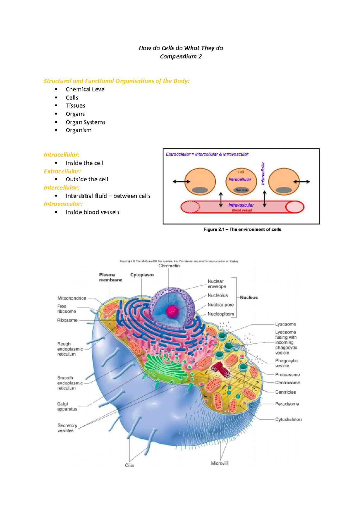 How do Cells do What They do - How do Cells do What They do Compendium 2 Structural and ...