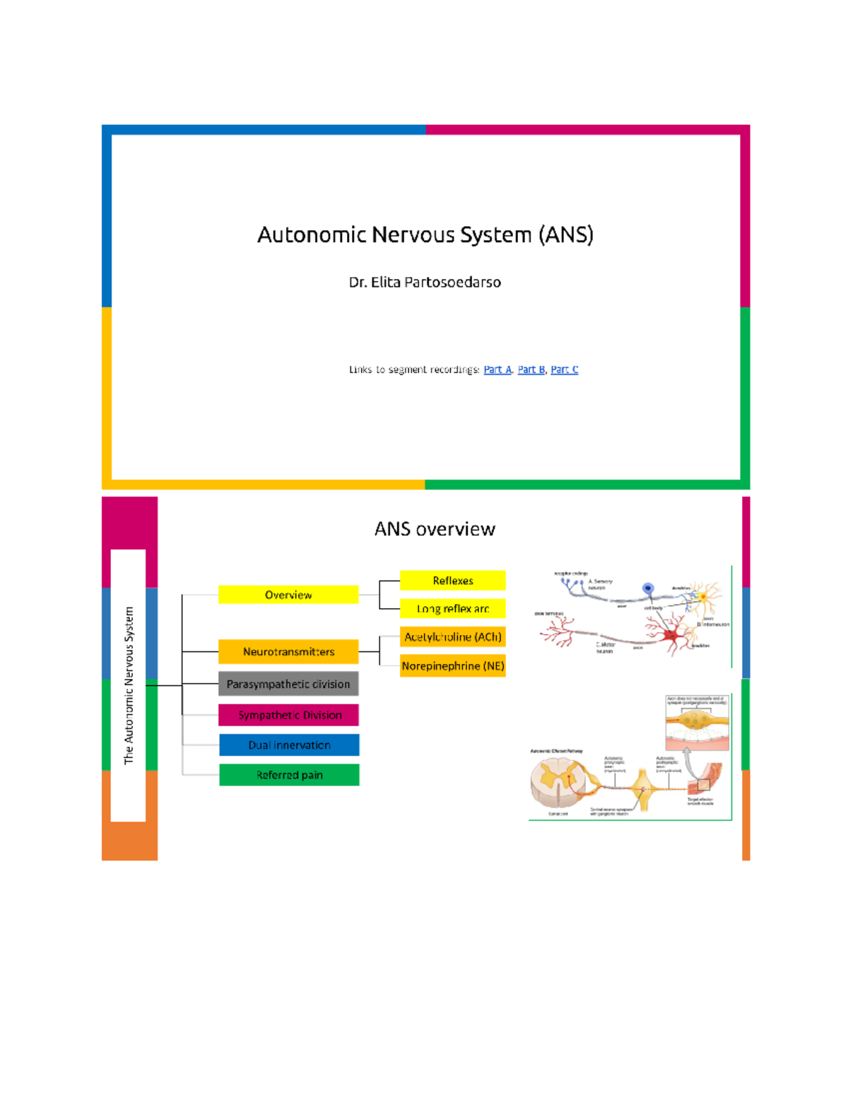 Lecture 19 Autonomic Nervous System - HLSC1700 - Studocu