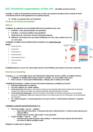 Spiercontractie (practicum) - THEORIE SPIERWEEFSEL o Skeletspierweefsel ...