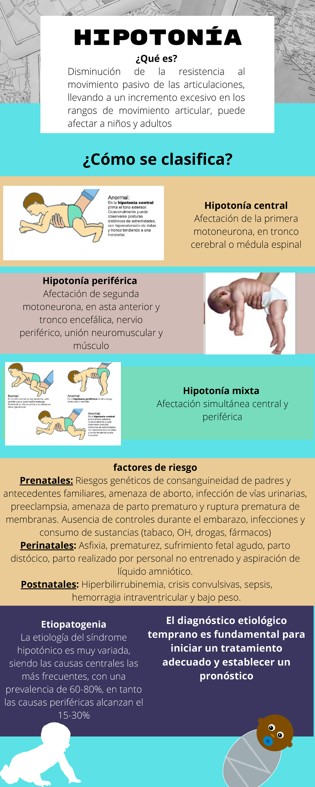 Hipotonia E Hipertonia - hipotonía Hipotonía periférica Afectación de ...